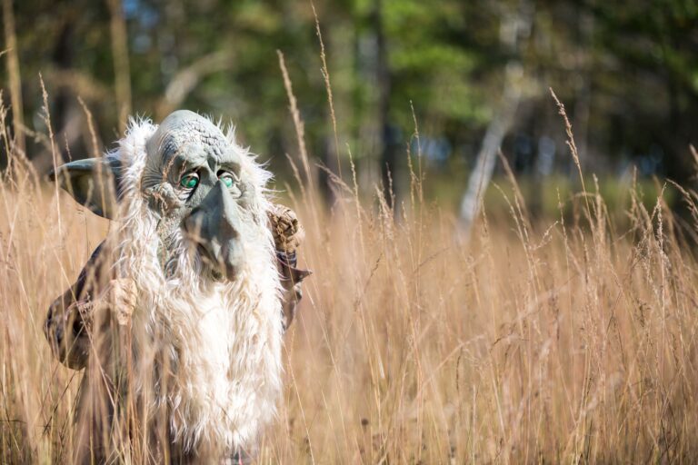 Mount Horeb’s Troll Story | trollway.com